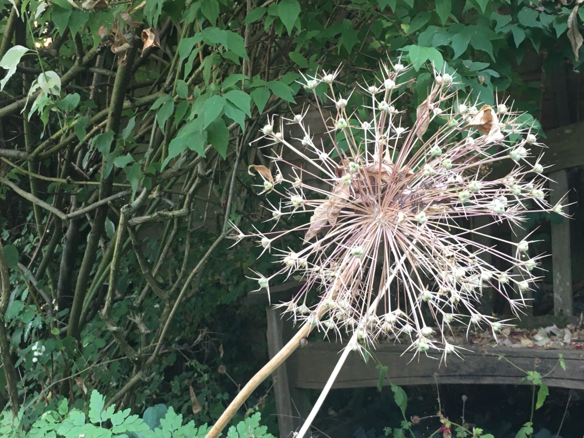 Science and Poetry: Atomic poems – Sue Dymoke Poetry